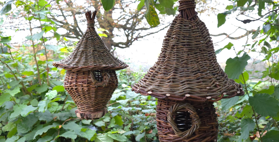 Make a Willow Bird House